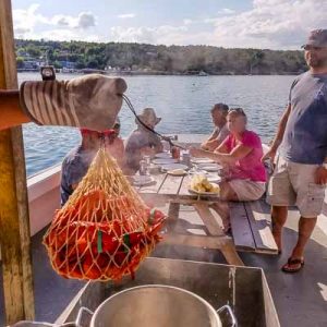 Acadia Lobster Cruise - Haul Traps & Eat Fresh Lobster on the Boat!